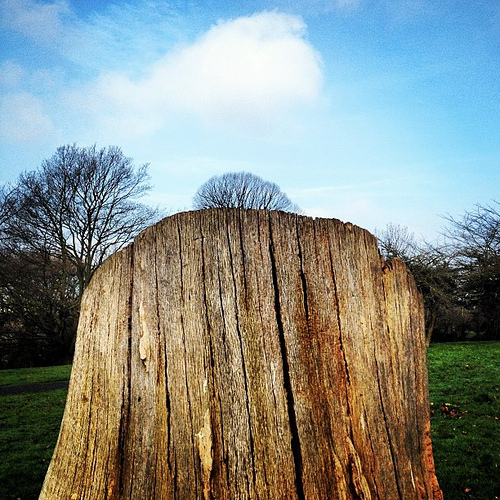 21 February 2013 | Christophe Gowans